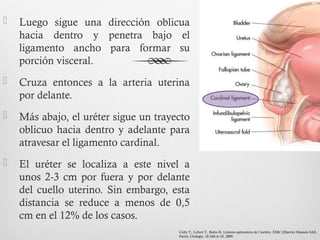 anatomia del sistema renal, quirugica y anatomica | PPTX