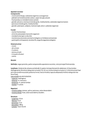 Anatomie & Urologie: Rinichiul | DOCX