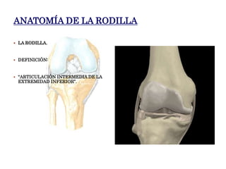 Anatomia Rodilla Issste.ppt