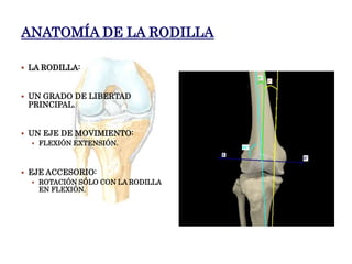 Anatomia Rodilla Issste.ppt