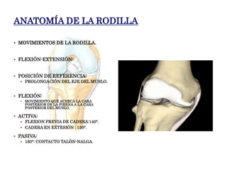 Anatomia Rodilla Issste.ppt