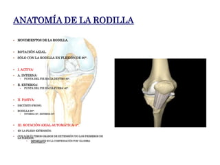 Anatomia Rodilla Issste.ppt