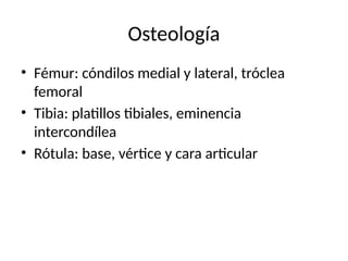 Anatomia_Rodilla_Medicina_Detallada.pptx
