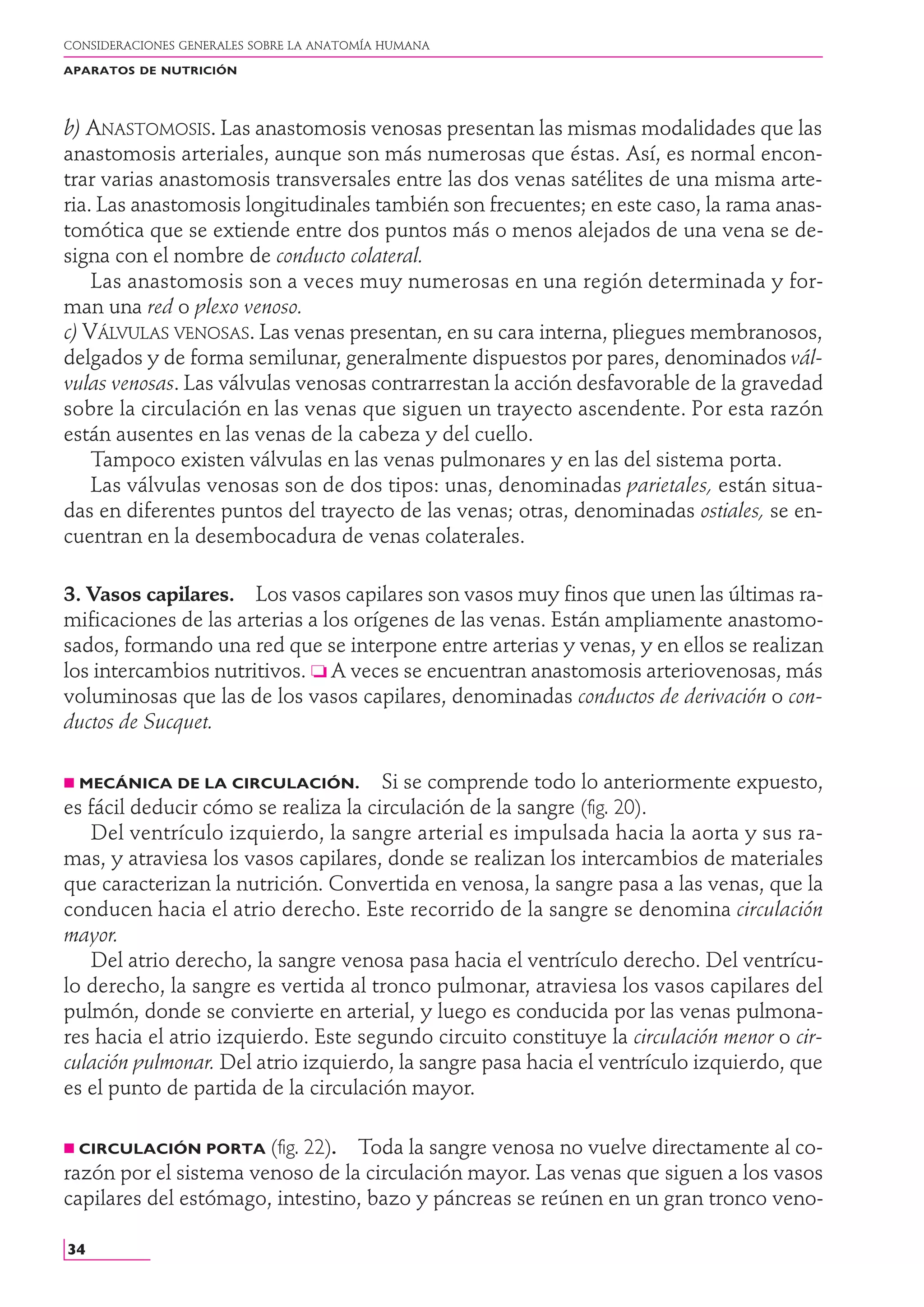 Anatomia rouviere tomo 1 7-37 | PDF