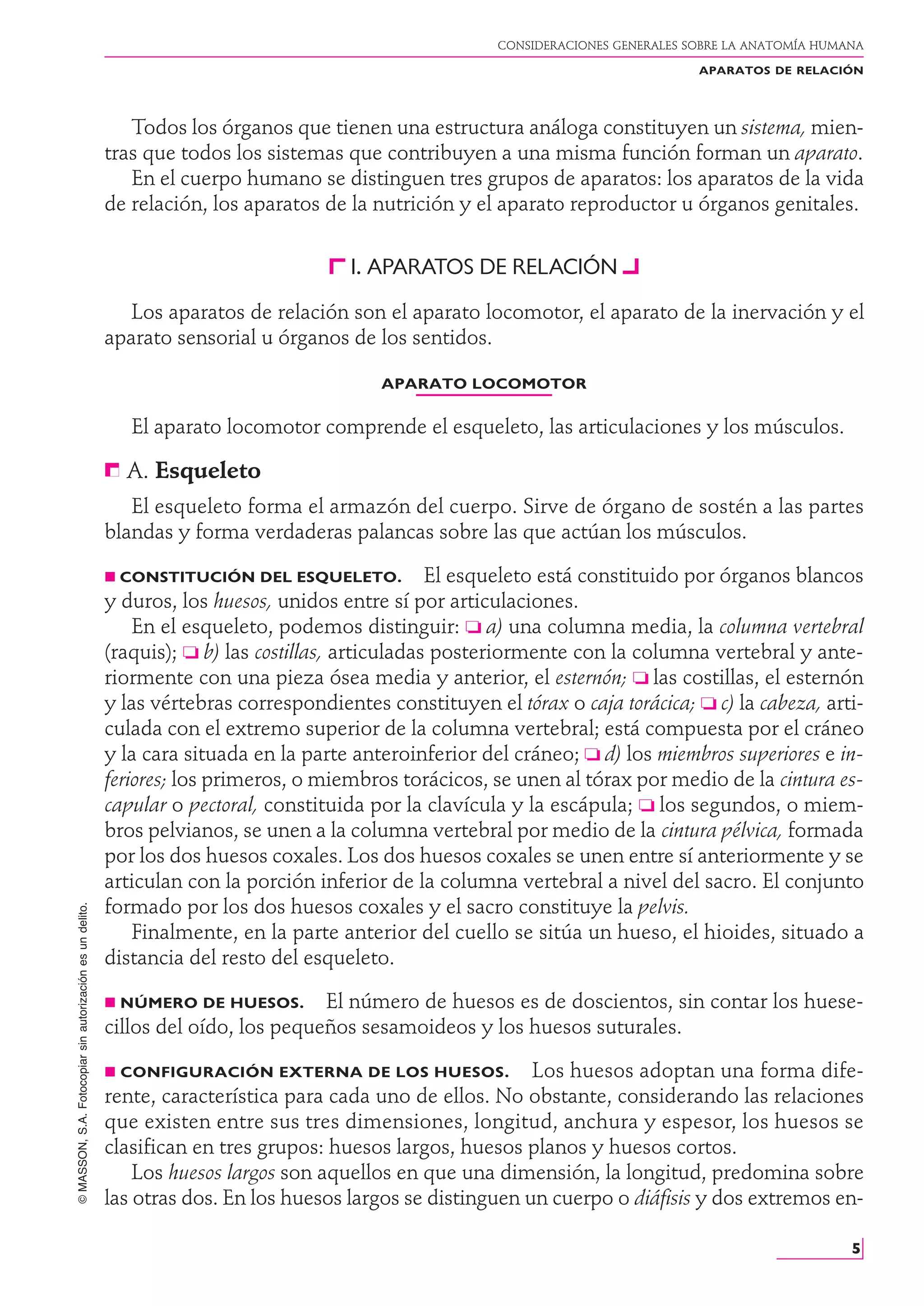 Anatomia rouviere tomo 1 7-37 | PDF