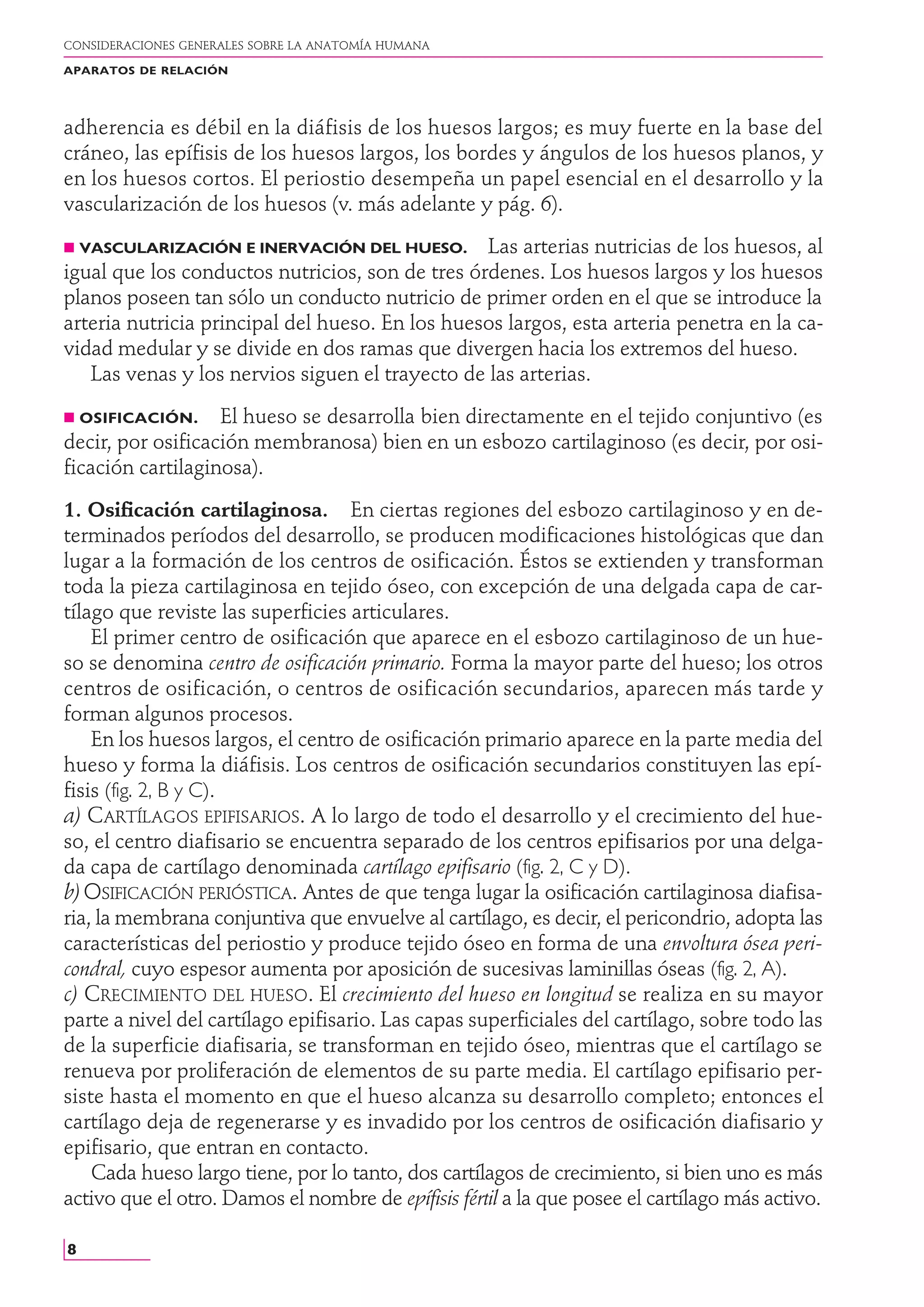 Anatomia rouviere tomo 1 7-37 | PDF