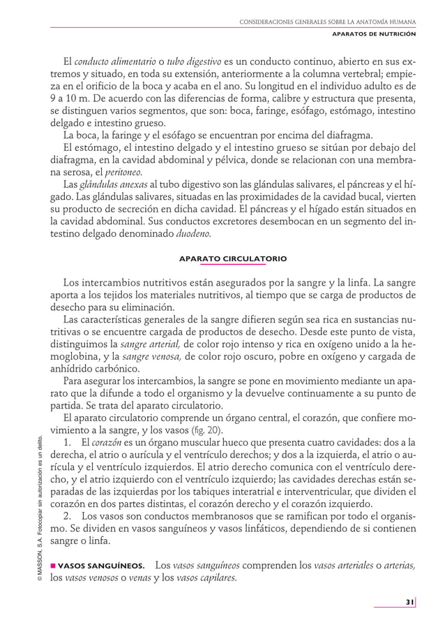 Anatomia rouviere tomo 1 7-37 | PDF