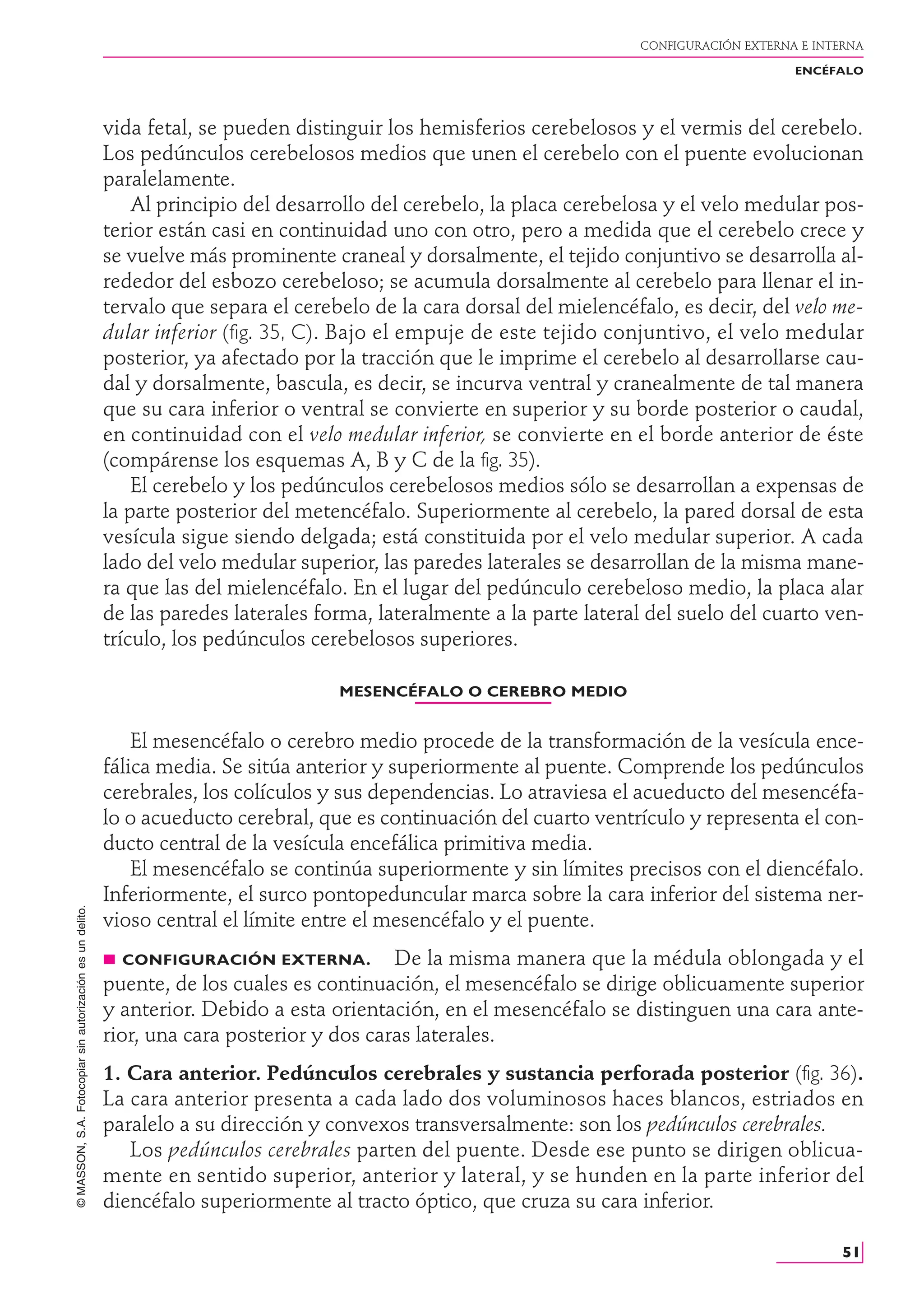 Anatomia ROUVIERE Tomo 4-53-61.pdf