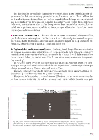 Anatomia ROUVIERE Tomo 4-53-61.pdf