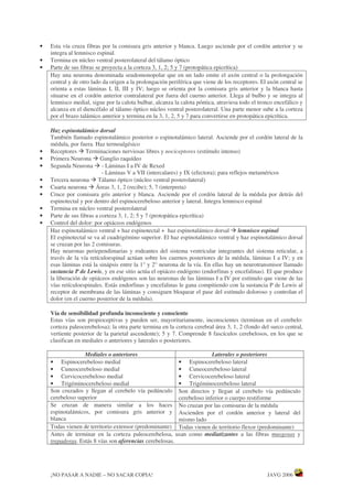 Anatomia sistema nervioso, javier | PDF