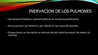 anatomiasistemarespiratorio-131010203241-phpapp02 (1).pptx