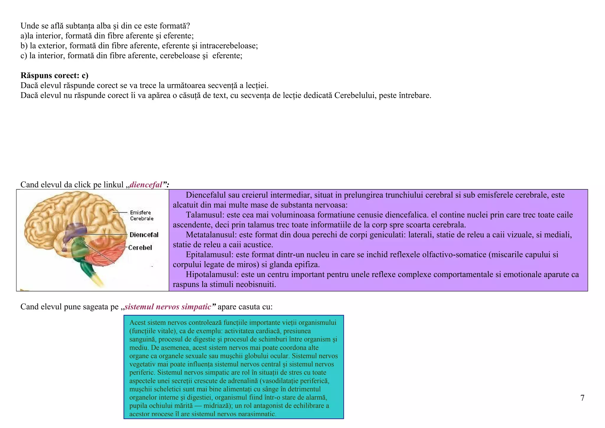 Anatomia sistemului nervos proiect dppd | DOC