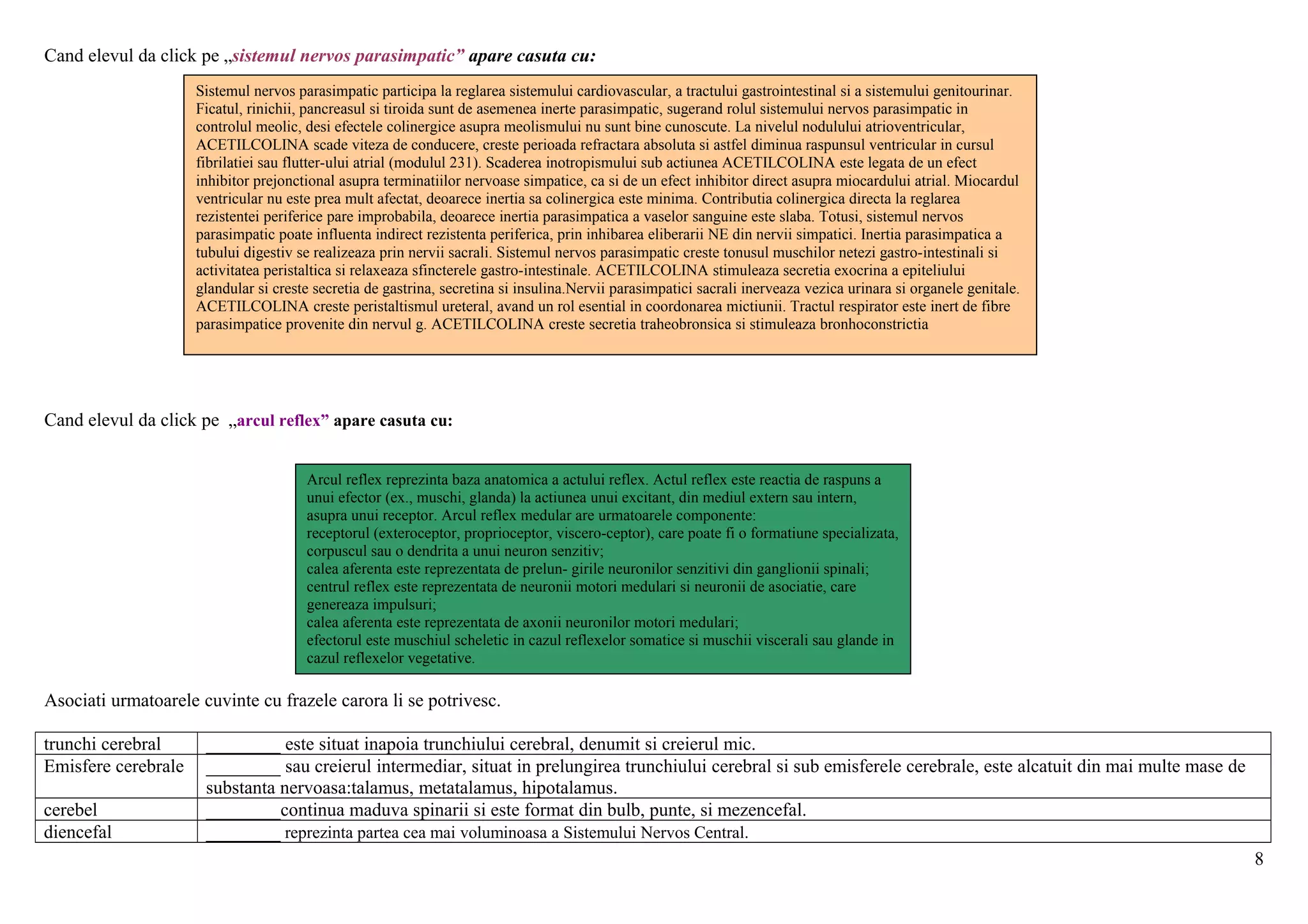 Anatomia sistemului nervos proiect dppd | DOC