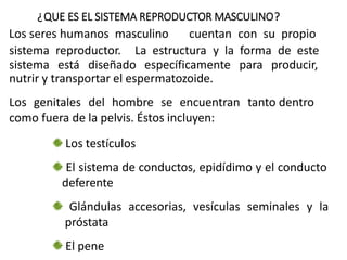 anatomia tarea_085513.pptx