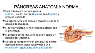 Anatomia tc pancreas bazo | PPTX