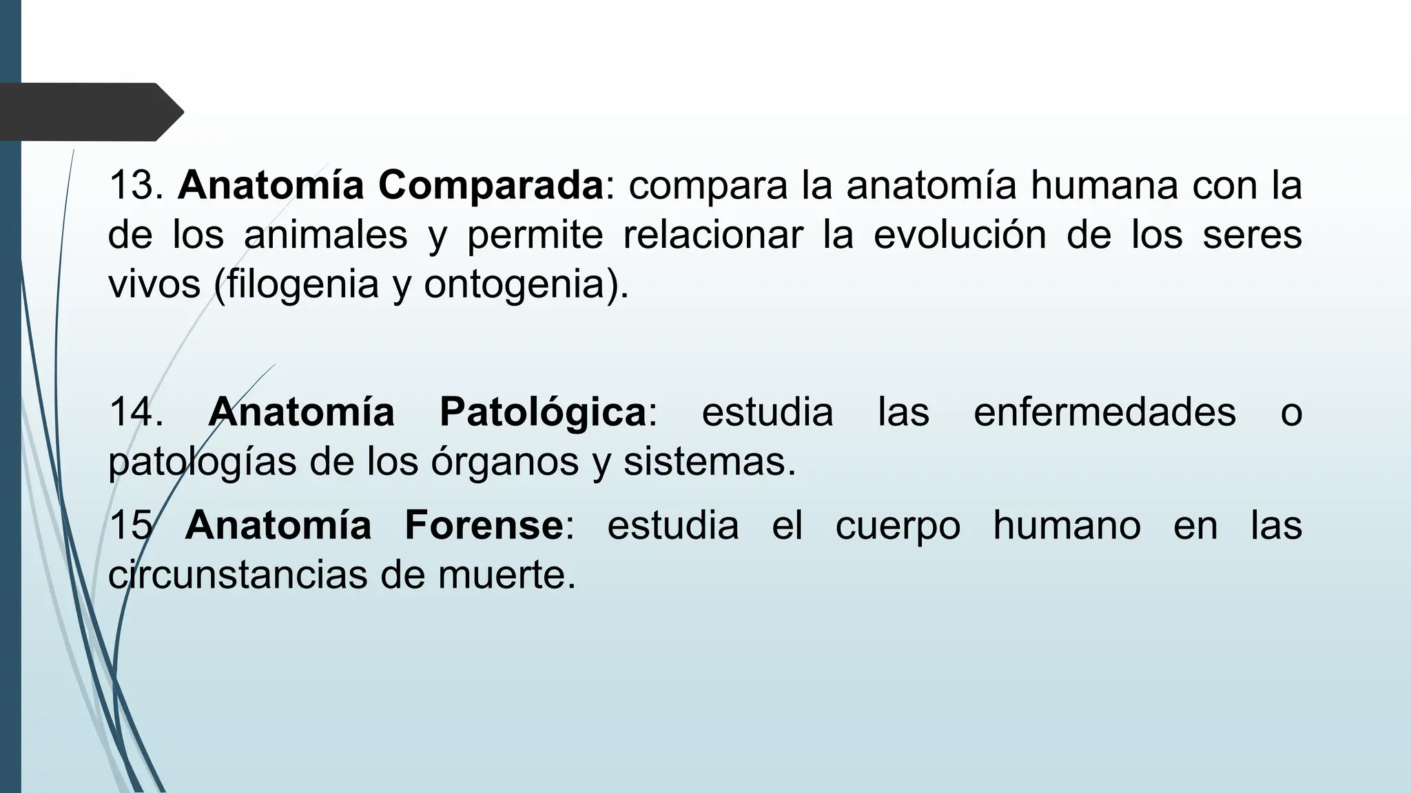 ANATOMIA TEMA 1.pptx