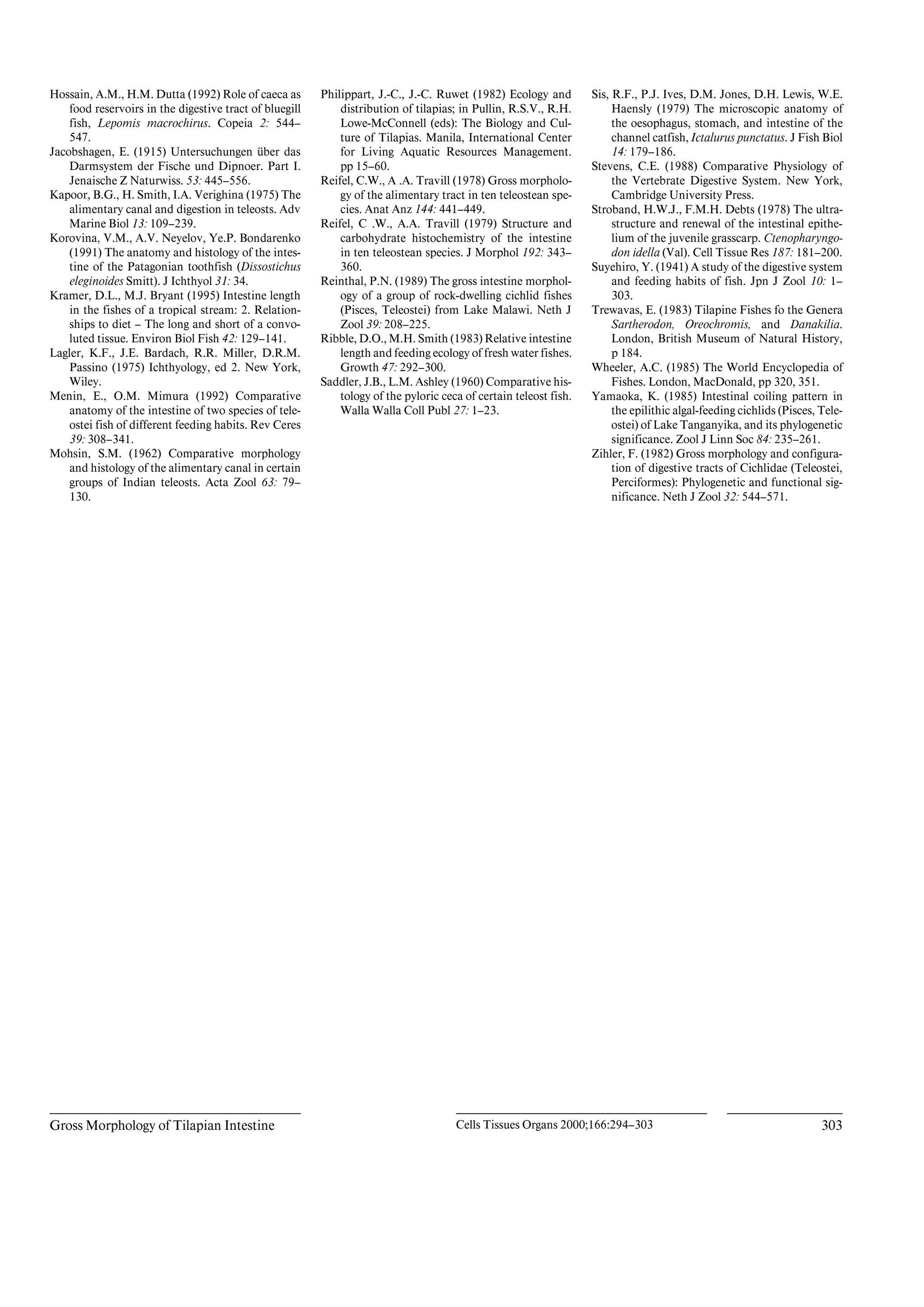 Anatomia tilapia | PDF