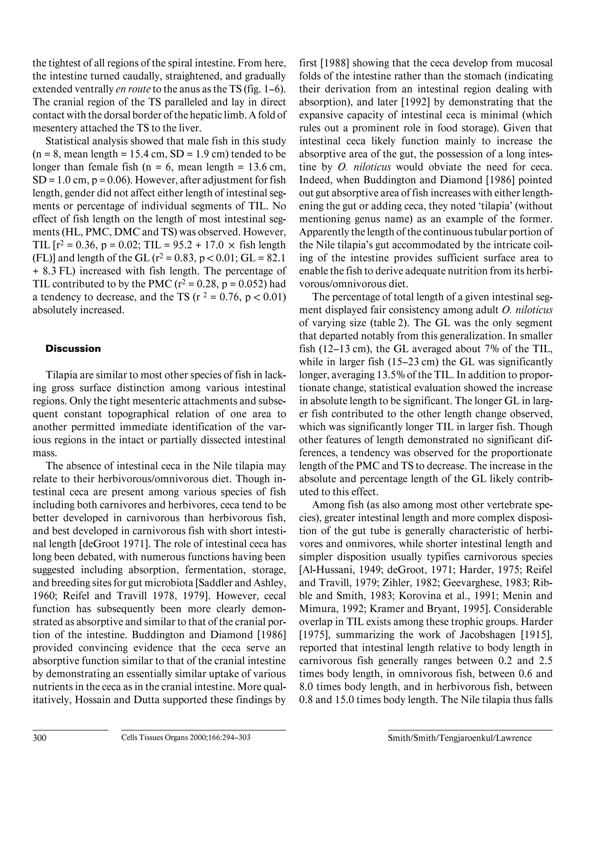 Anatomia tilapia | PDF