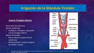 anatomia tiroides y paratiroides.pptx