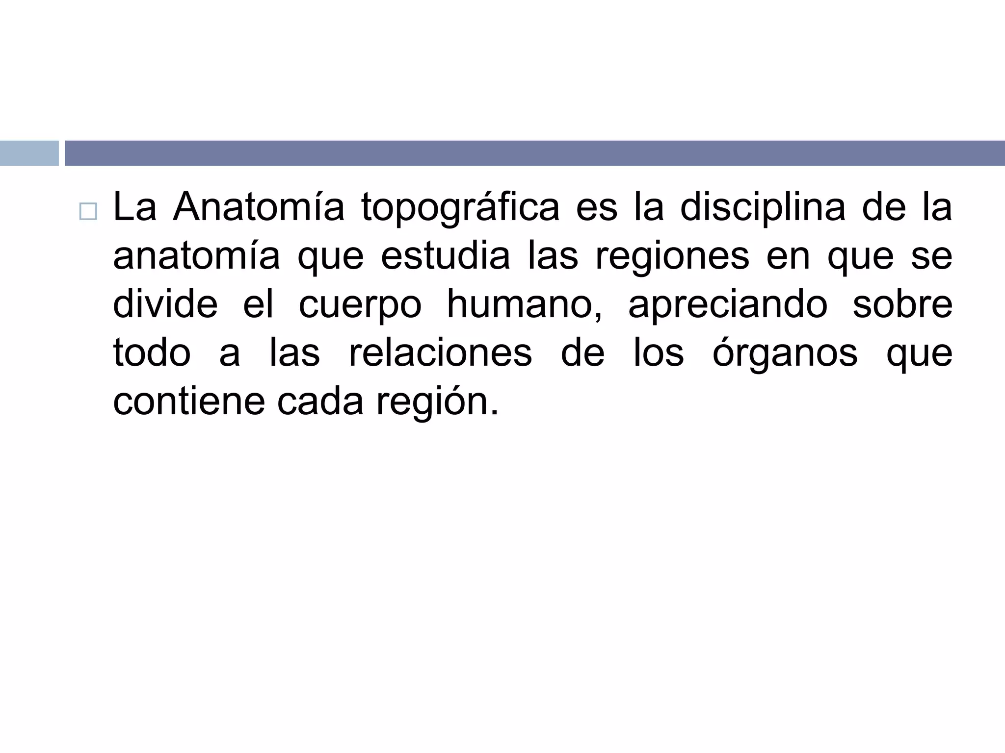 Anatomia topografica | PPTX