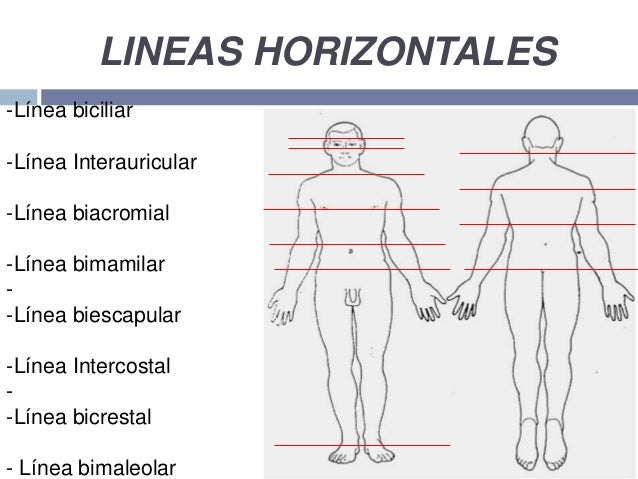 Anatomia topografica