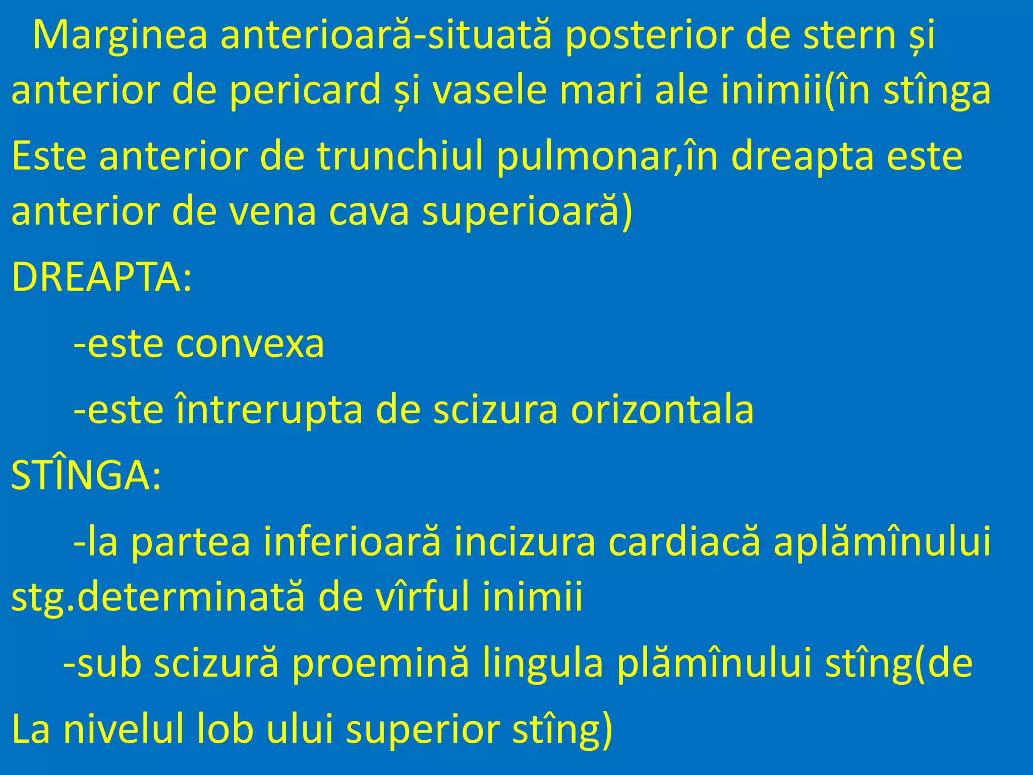Anatomia topografica a plaminului 1 | PPTX
