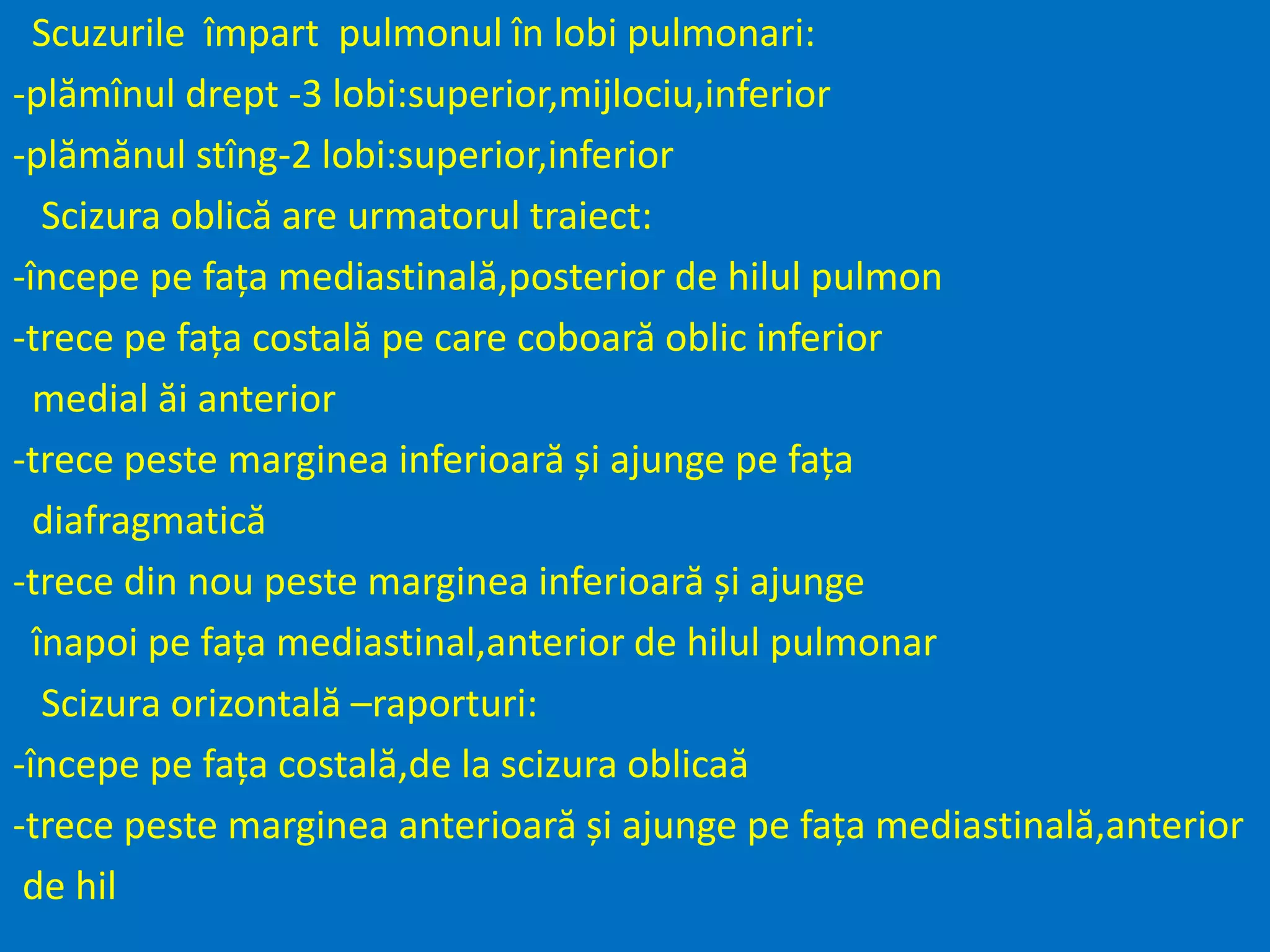Anatomia topografica a plaminului 1 | PPTX
