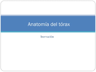 diapositivaanatomia topografica de torax.ppt