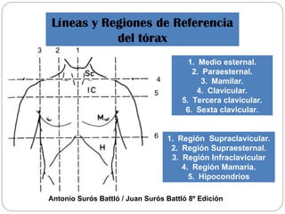diapositivaanatomia topografica de torax.ppt