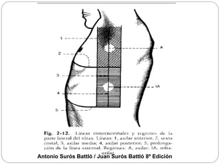 diapositivaanatomia topografica de torax.ppt