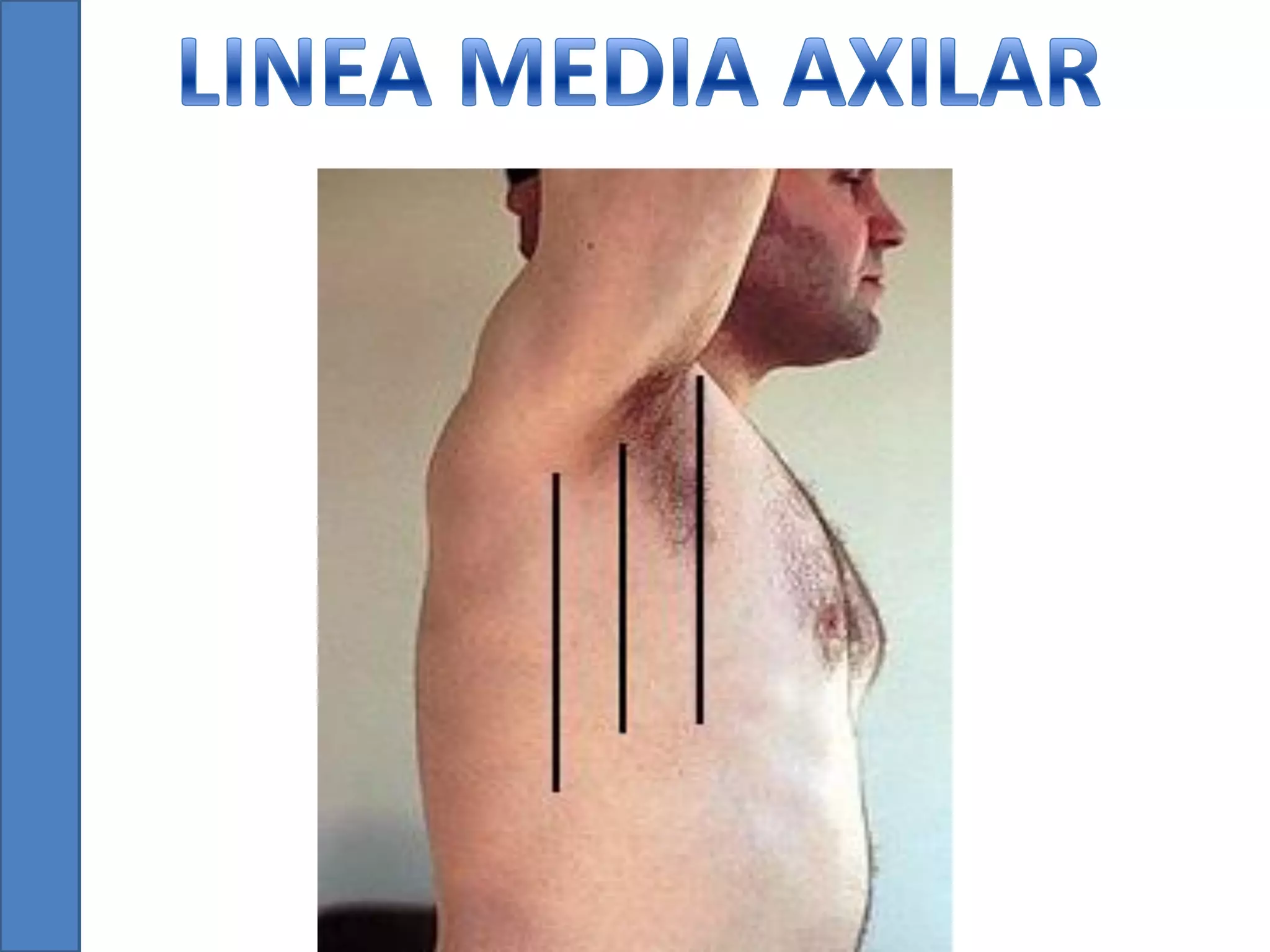 Anatomia topografica psf | PPT