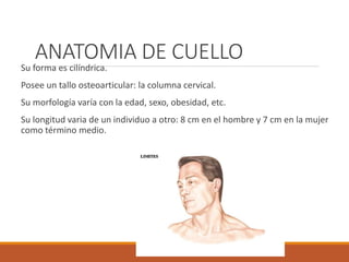 ANATOMIA TOPOGRÁFICA CUELLO JM.pptx