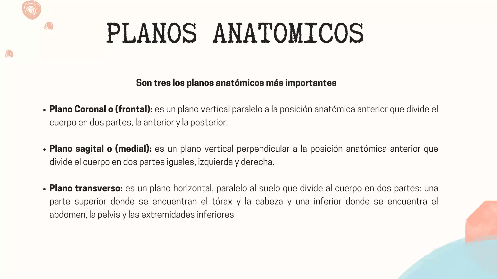 ANATOMÍA PRINCIPAL | PPT