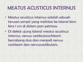 Anatomi auris | PPTX