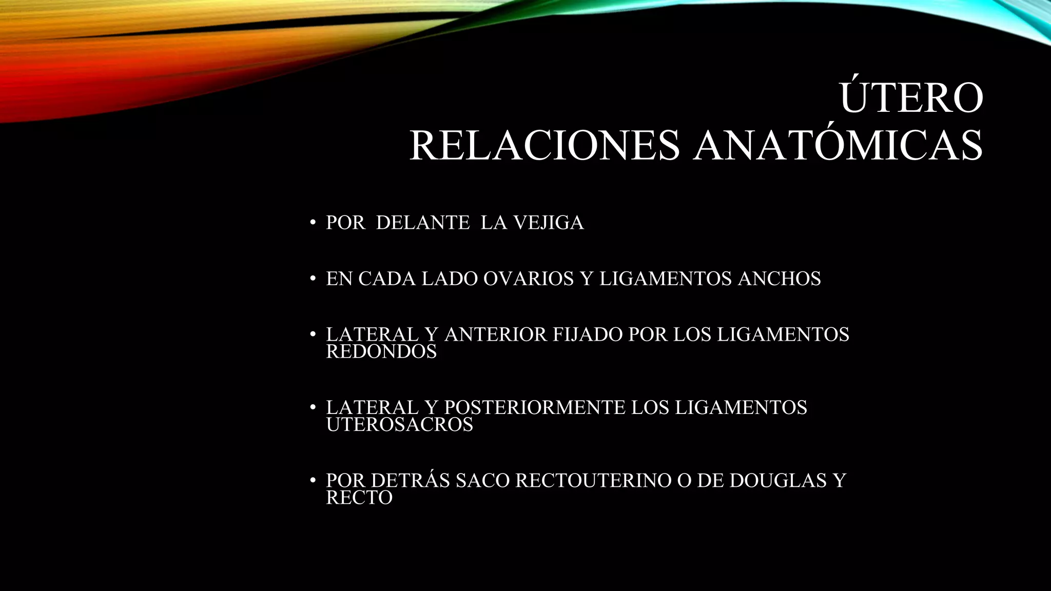 anatomia uterina.pdf | Pregnancy | Reproductive Health