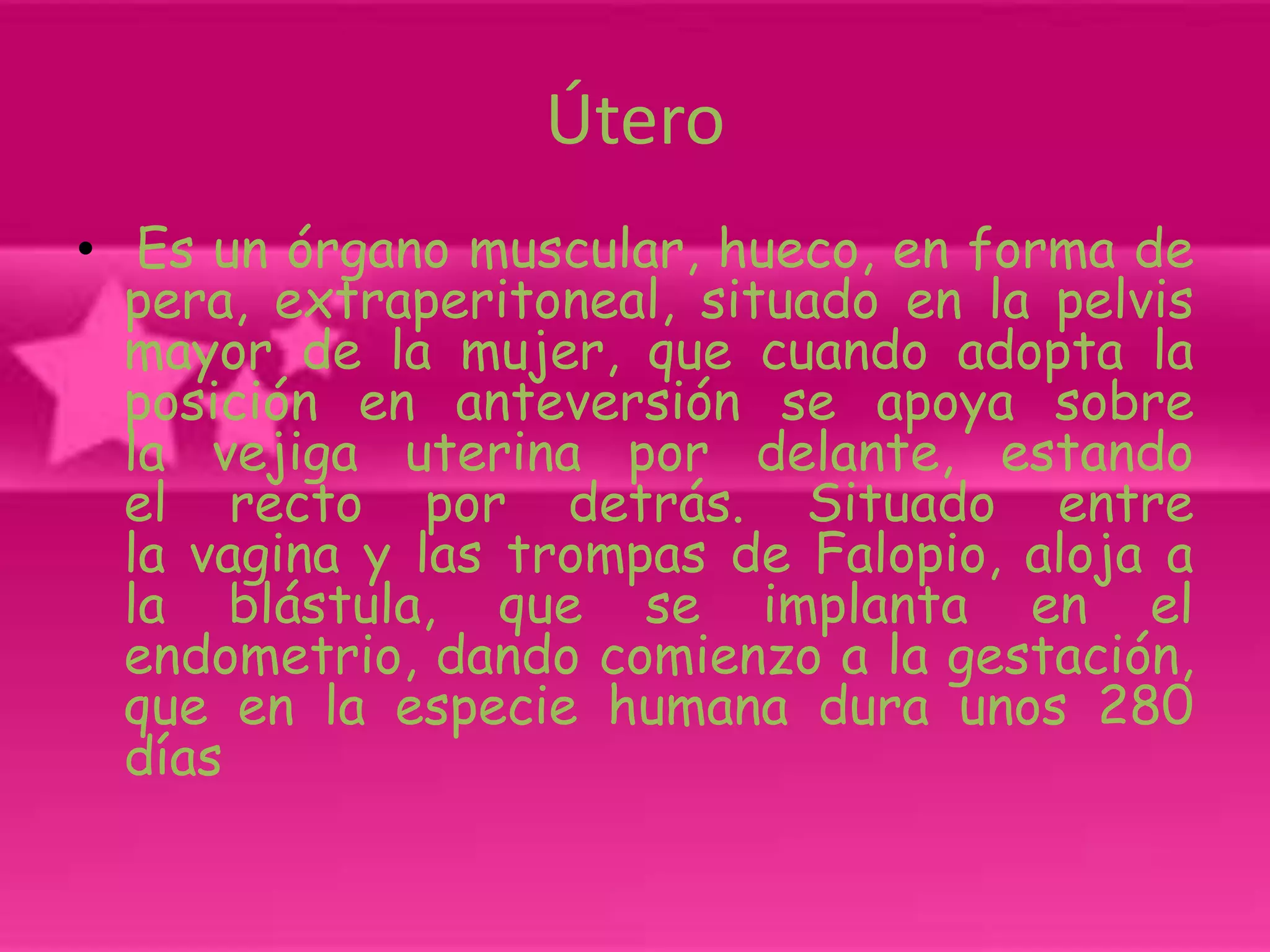 Anatomia utero y trompas uetrinas | PPTX