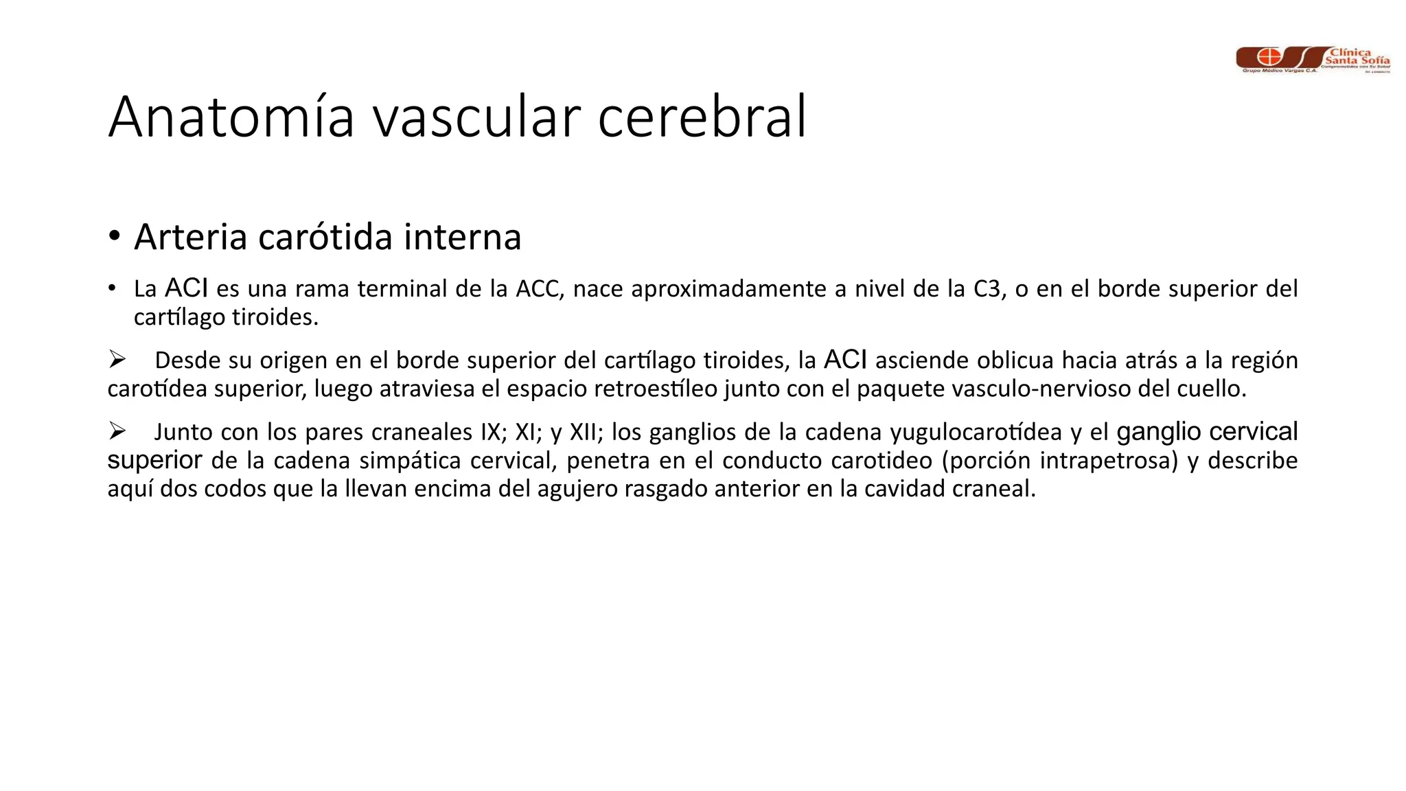 anatomia vascular.pptx arterial venoso | PPTX