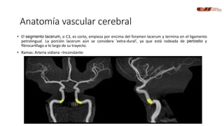 anatomia vascular.pptx arterial venoso | PPTX
