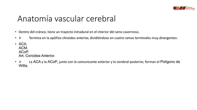 anatomia vascular.pptx arterial venoso | PPT