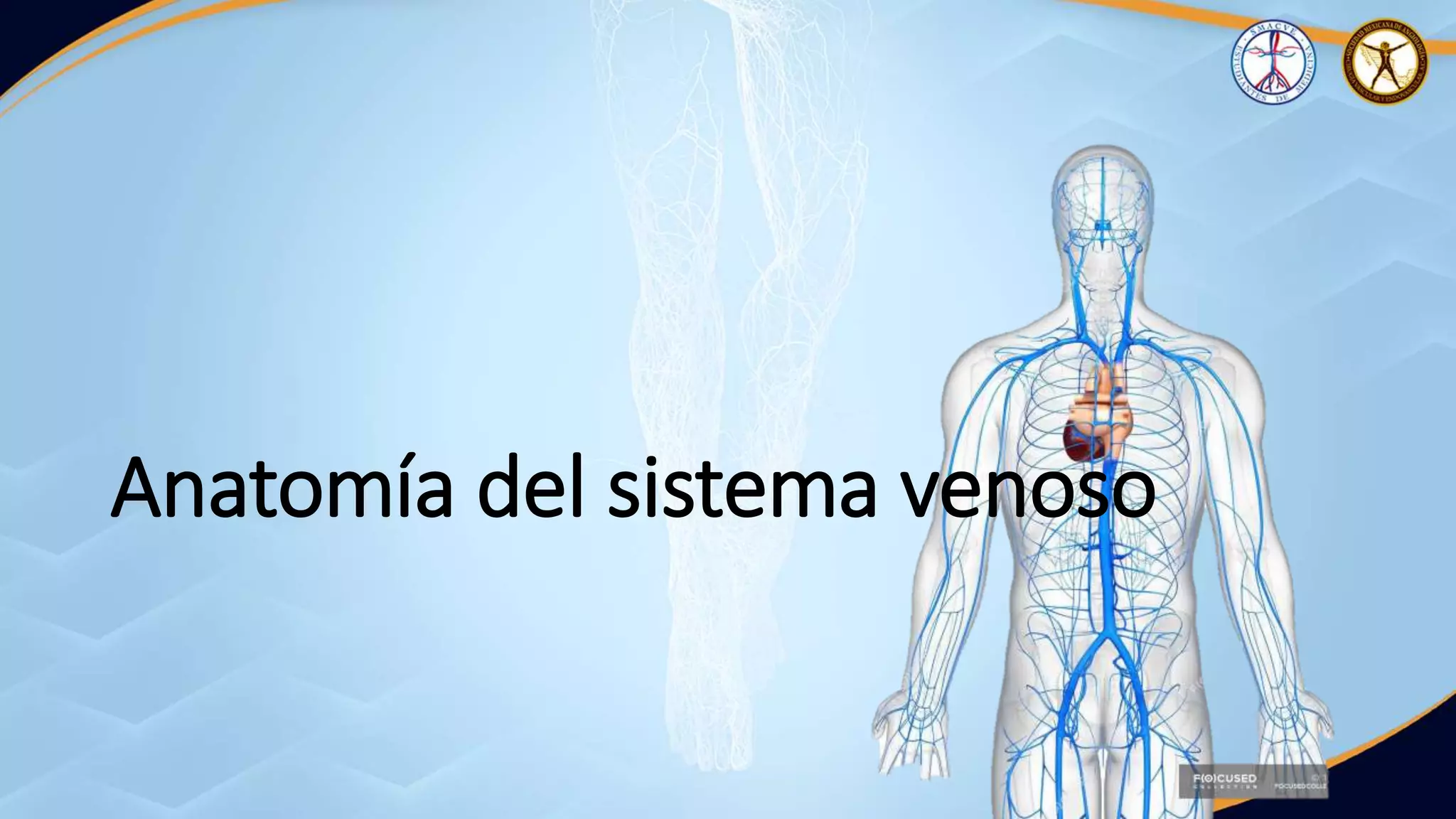 Anatomia venosa.pptx