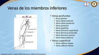 Anatomia venosa.pptx