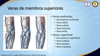 Anatomia venosa.pptx