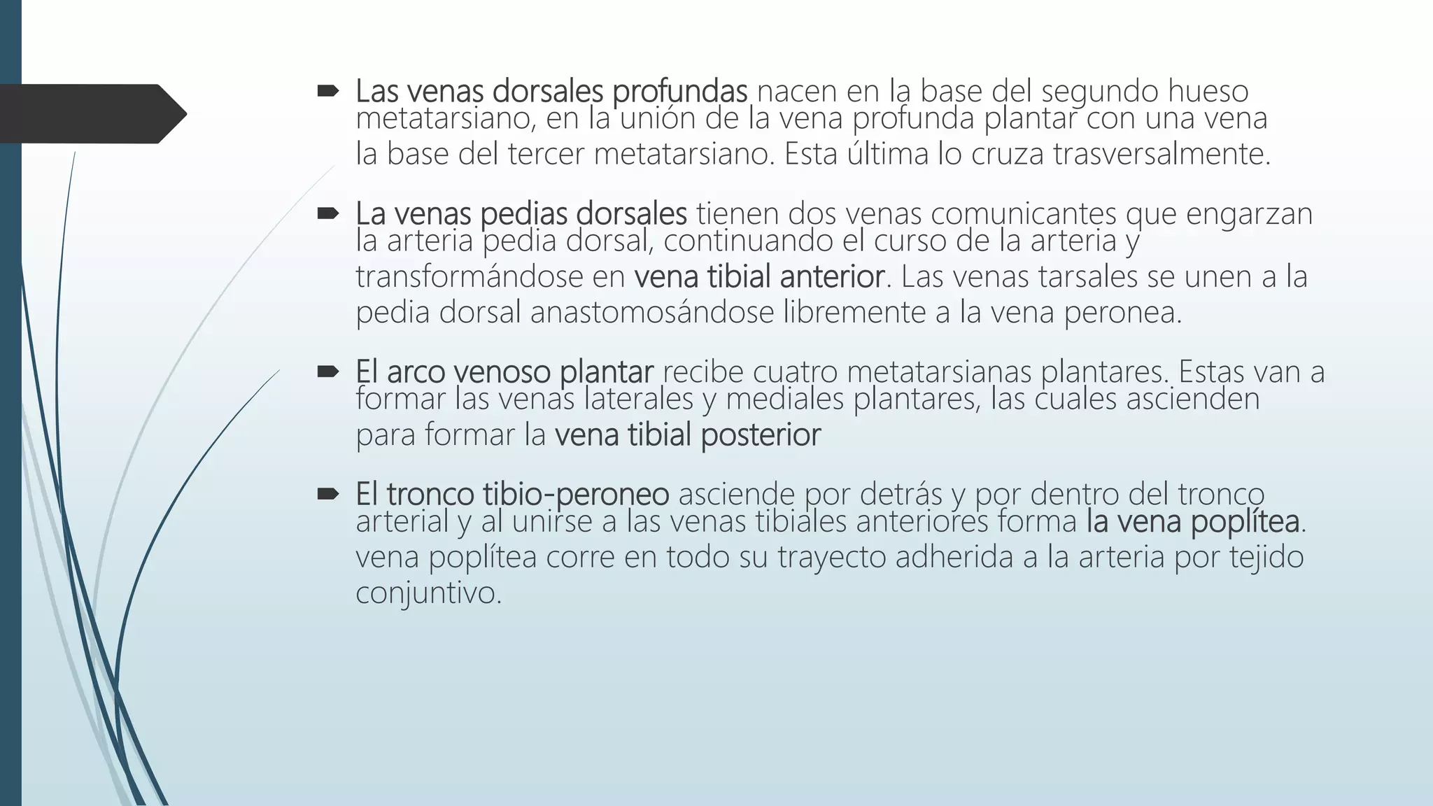 Anatomia venosa de miembros inferiores | PPTX