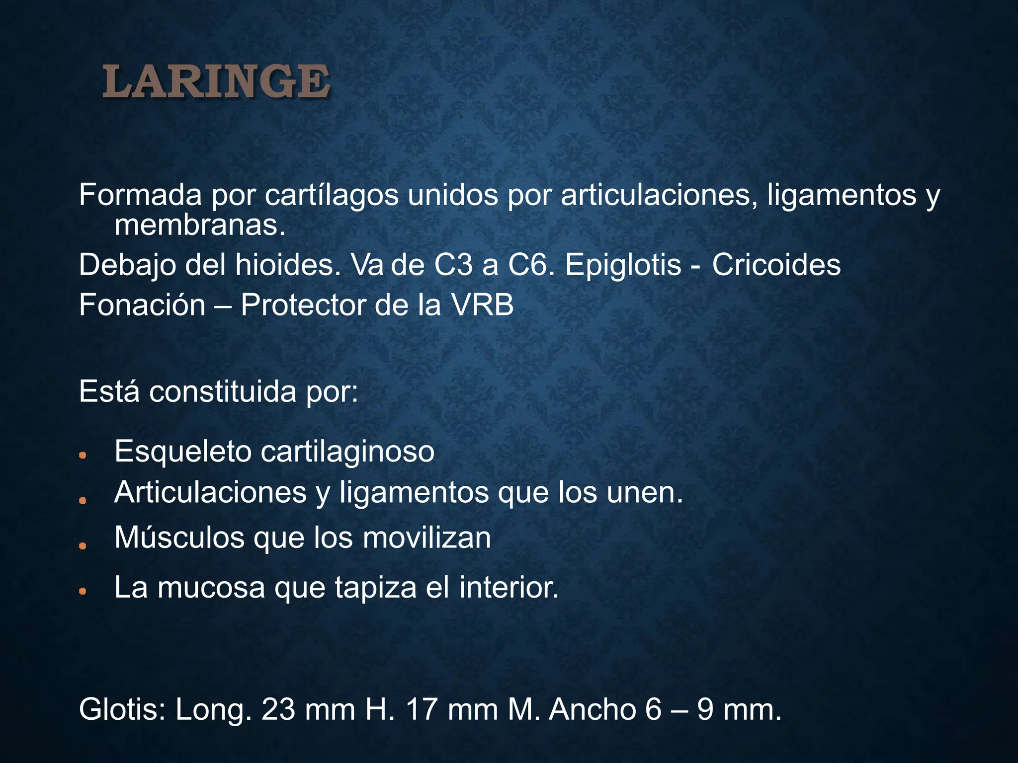 Anatomia via aerea superior edwin.pptx