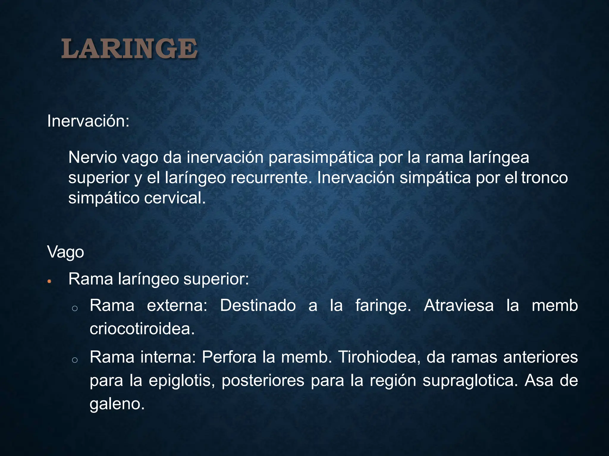 Anatomia via aerea superior edwin.pptx