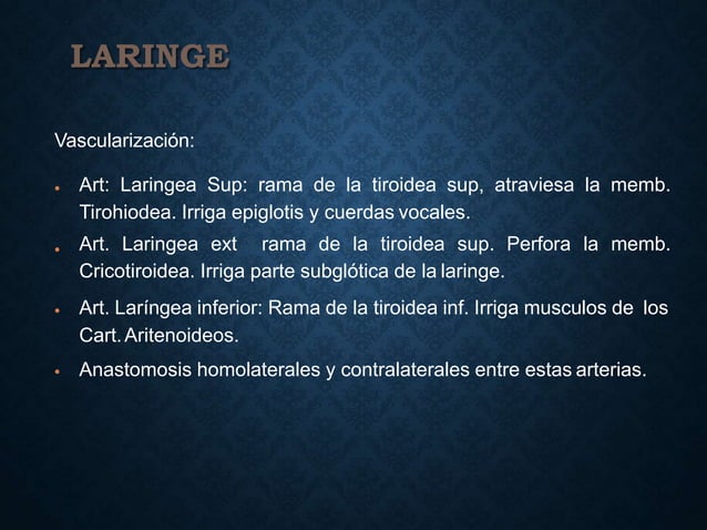 Anatomia via aerea superior edwin.pptx