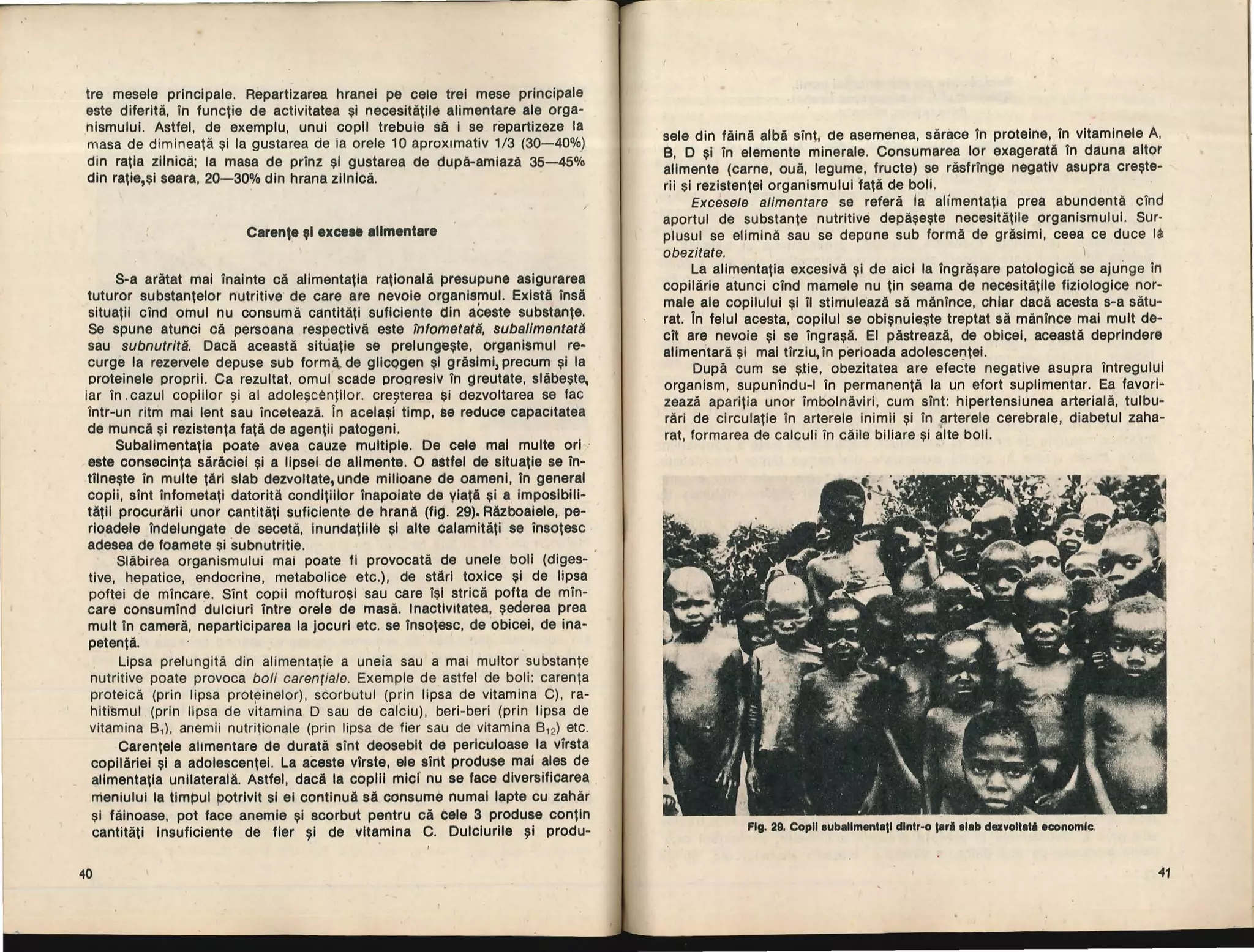 Anatomia vii 1989 | PDF