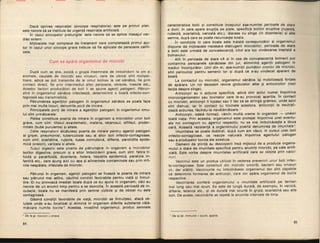Anatomia vii 1989 | PDF
