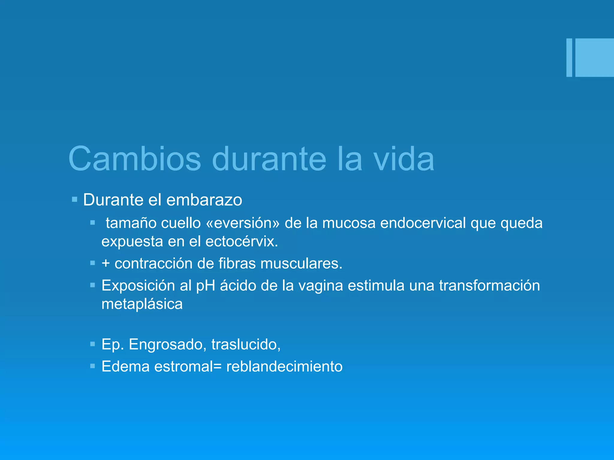 Anatomia del cervix | PPTX | Pregnancy | Reproductive Health