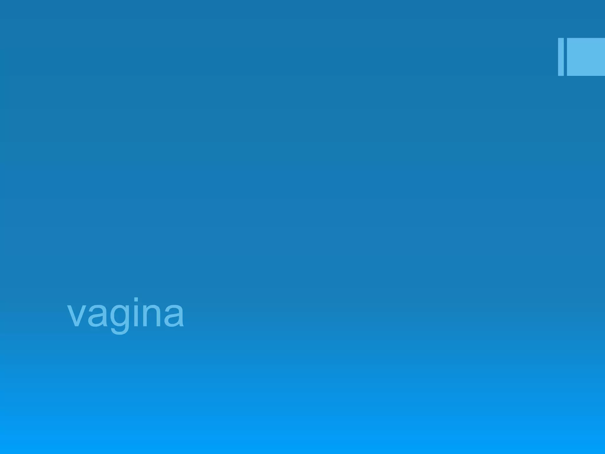 Anatomia del cervix | PPTX | Pregnancy | Reproductive Health